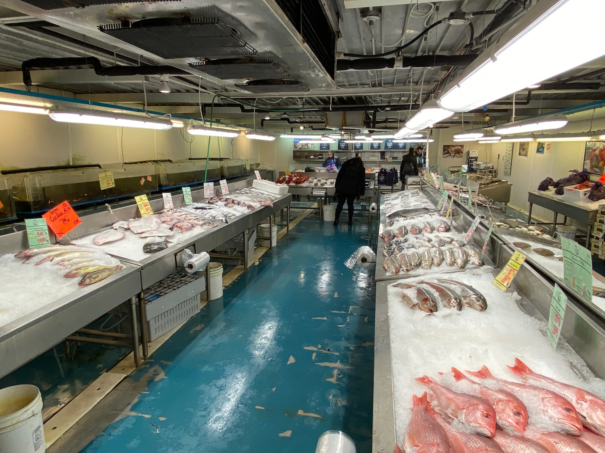 Poissonnerie La Mer – Davia and Rich's Blog